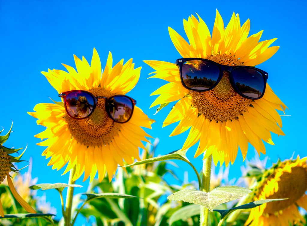 5th Annual Sunshine Month - Smart Tan News Smart Tan News